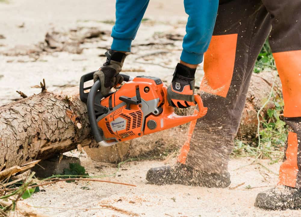 Husqvarna 560 chainsaw store